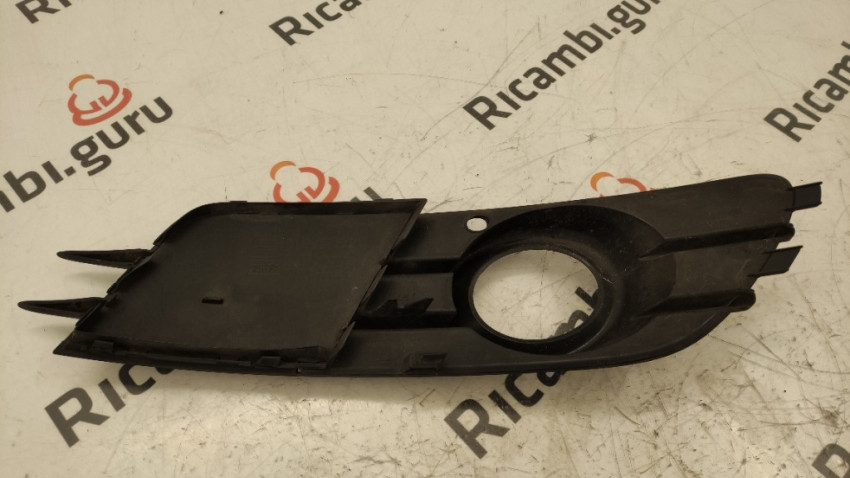 Griglia Anteriore Sinistra Audi A6 avant