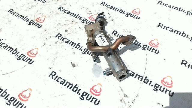 Valvola EGR Audi a4 avant