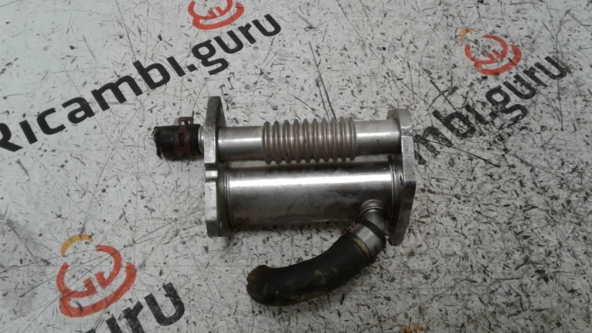 Valvola EGR Renault clio