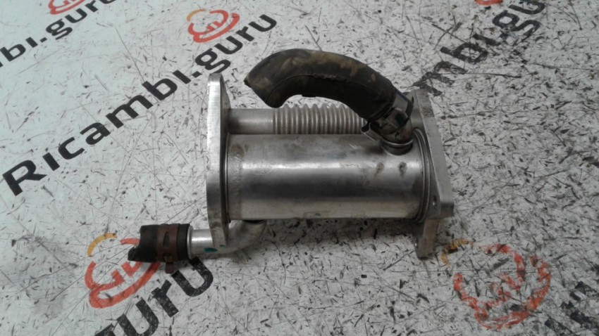 Valvola EGR Renault clio