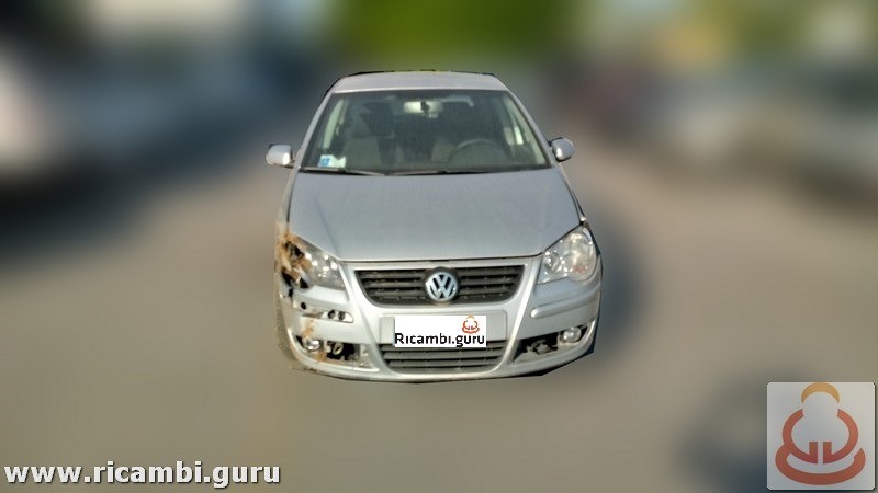 Volkswagen Polo 2007